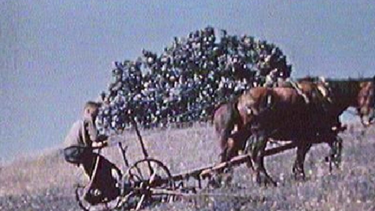 Alexis Tremblay: Habitant (1943) | MUBI