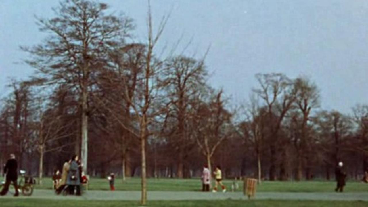 Park Film (1973) | MUBI