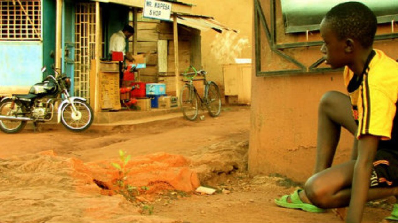 Zebu and the Photo Fish (2011) | MUBI