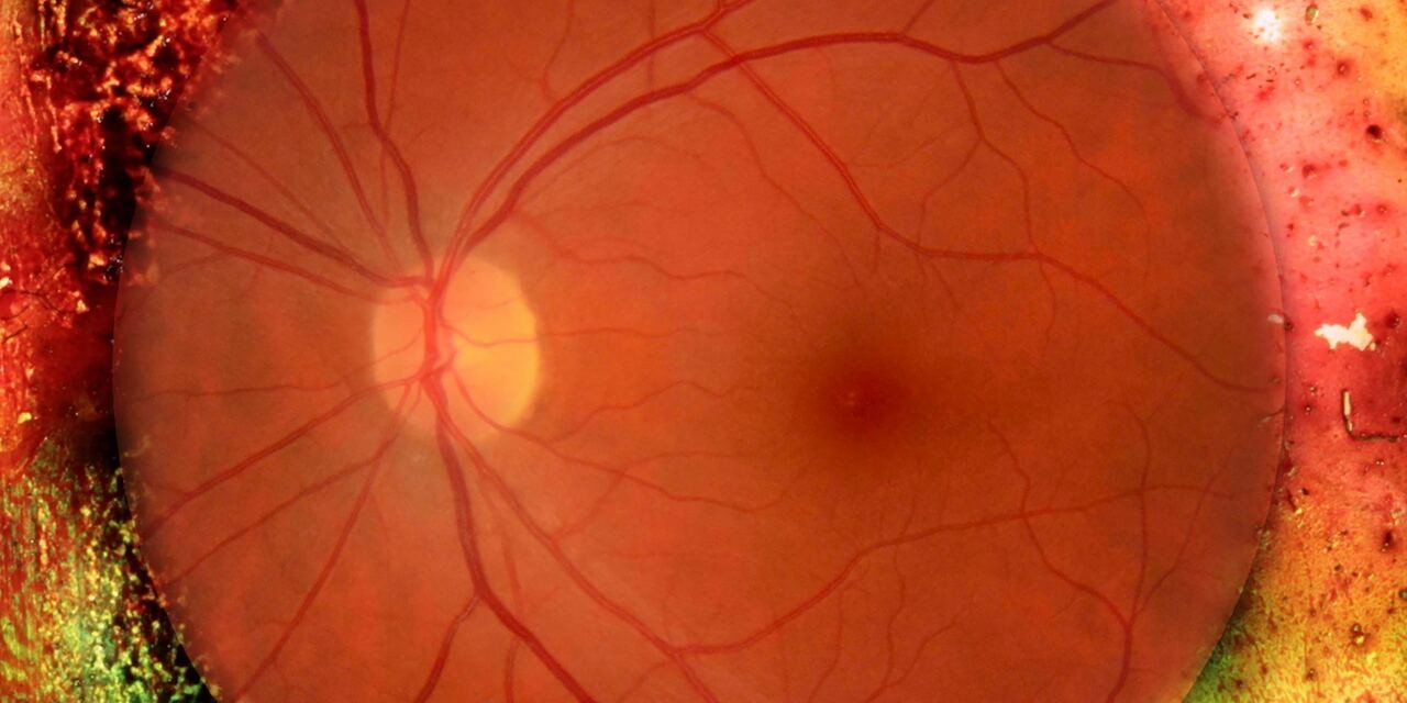 In Print | Notebook Issue 7 on Notebook | MUBI