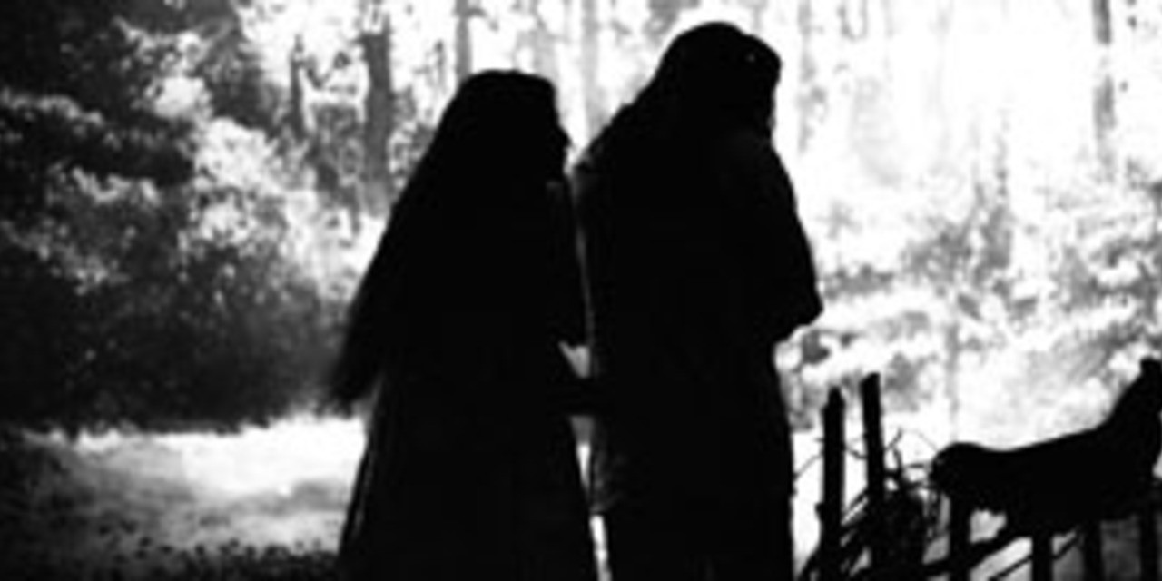 Lumen on Notebook | MUBI