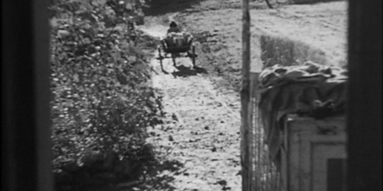 Some notes on the "Human Element" in film on Notebook | MUBI